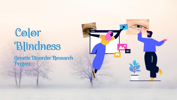 Genetic Disorder Research 1 Project About Color Blindness