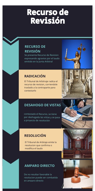 Proceso de Recurso de Revision