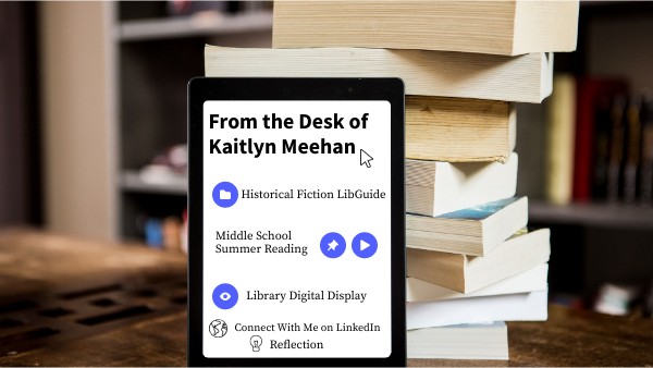 575 Meehan Assignment 2B Portfolio