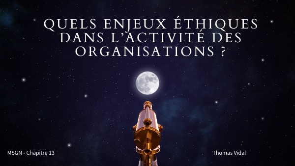 MSGN - Chapitre 13 | Genially