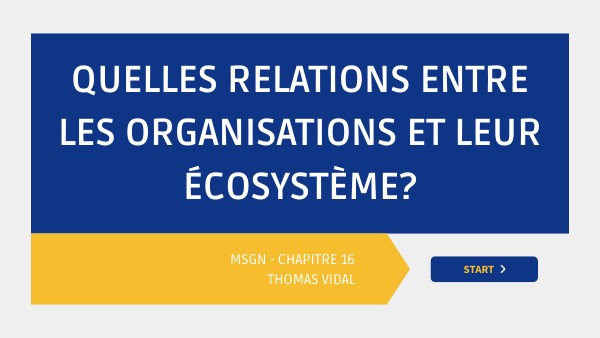 MSGN - Chapitre 16 | Genially