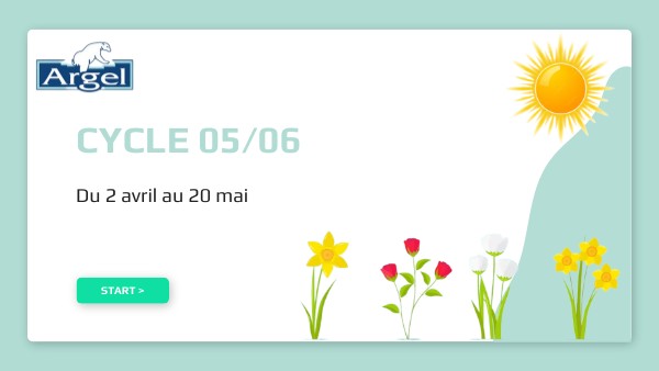 CYCLE 5/6 | Genially