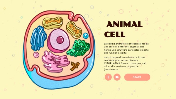 PARTS OF THE ANIMAL CELL | Genially
