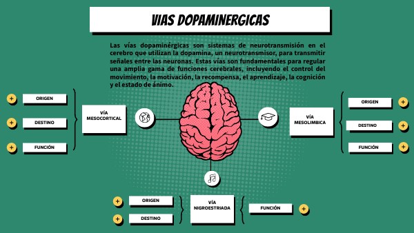 VIAS DOPAMINERGICAS | Genially