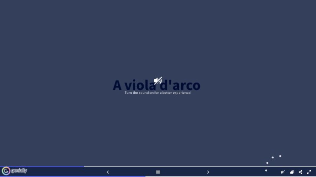 BASIC VIDEO-PRESENTATION