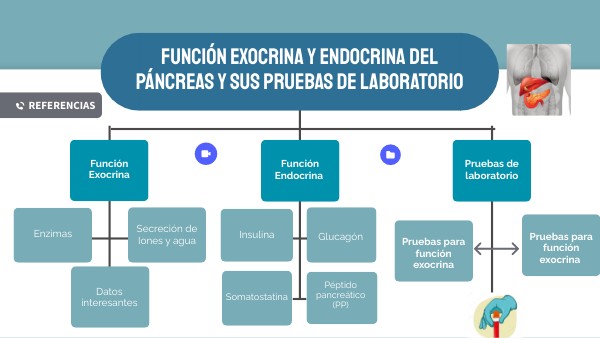 MAPA MENTAL ESQUEMA VERTICAL | Genially