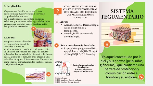 TRÍPTICO SISTEMA TEGUMENTARIO | Genially
