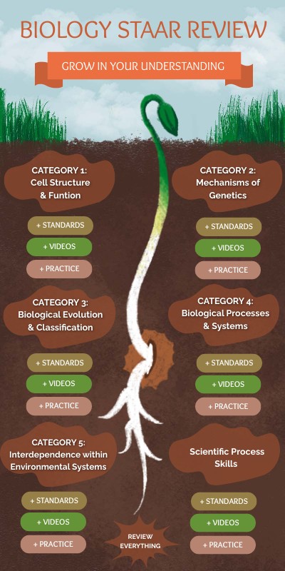 Biology STAAR Review