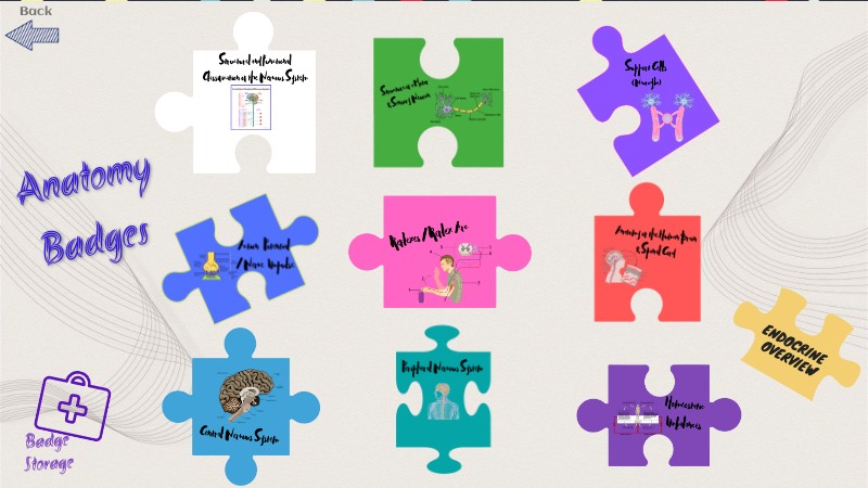 Anatomy Nervous System Badge Program | Genially