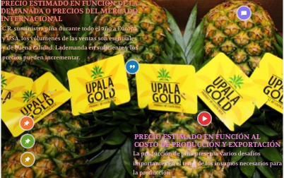 Piña Interactiva | Genially