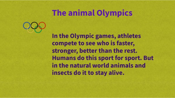 The animal Olympics | Genially