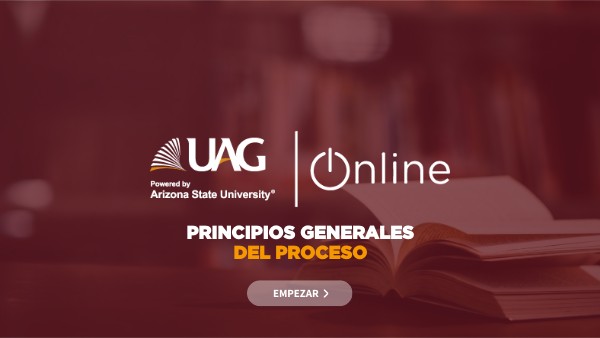 U1R12.Infografía_Principios generales del proceso | Genially