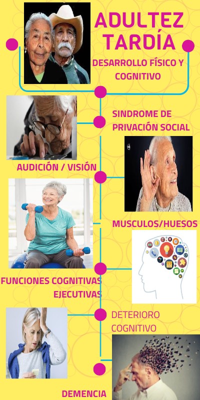 ADULTEZ TARDIA | Genially