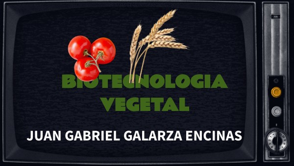 EXAMEN FINAL | Genially