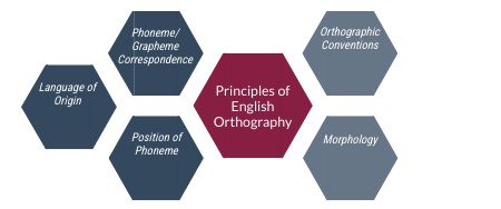 RSC 3 Principles of English Orthography | Genially