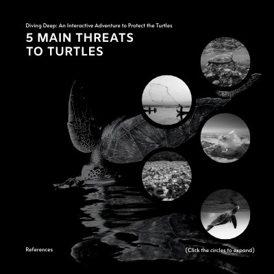 5 Main Threats to Turtles