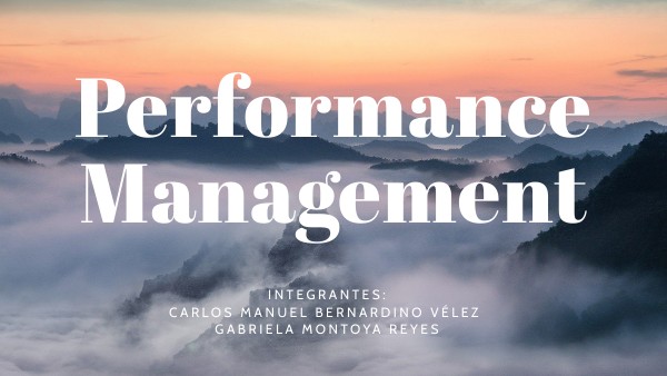 PERFORMANCE MANAGEMENT