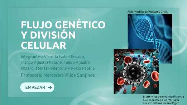 Presentación flujo genético y división celular PATALLO | Genially