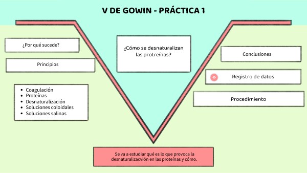 V DE GOWIN | Genially