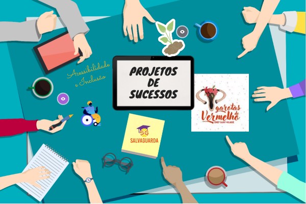 PROJETOS DE SUCESSO