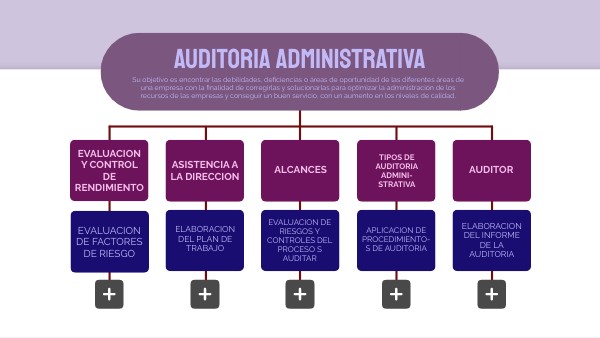MAPA MENTAL ESQUEMA VERTICAL
