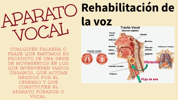 APARATO VOCAL | Genially
