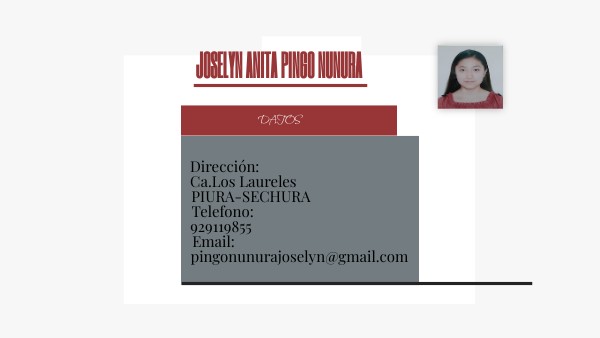 PRESENTACIÓN MODERN