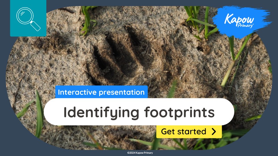 L3 - Identifying footprints