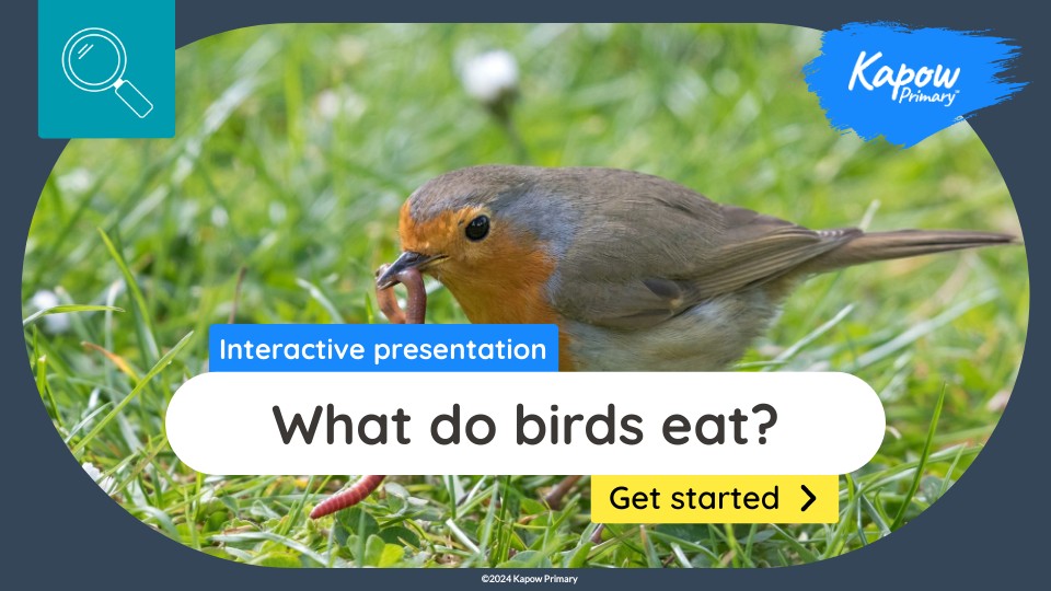 L - What do birds eat?