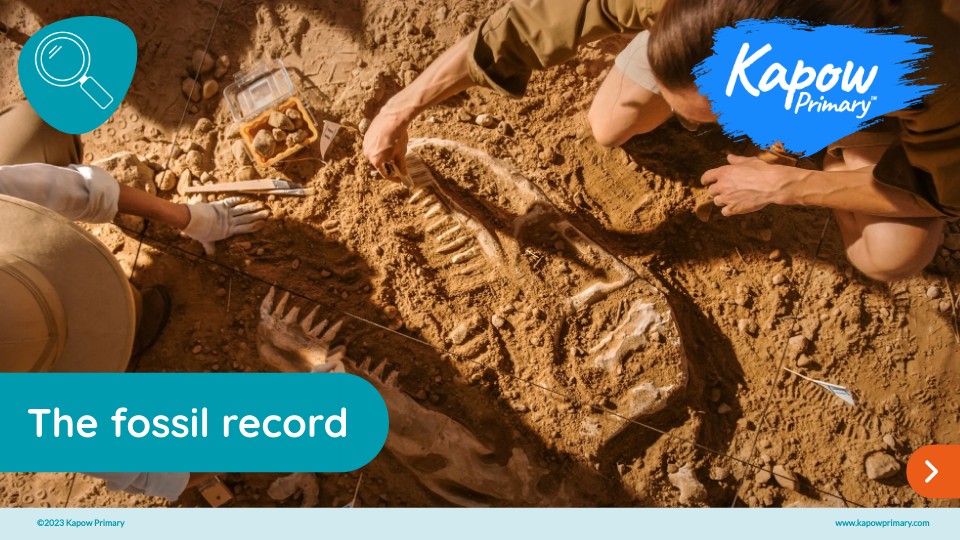 L6_The fossil record