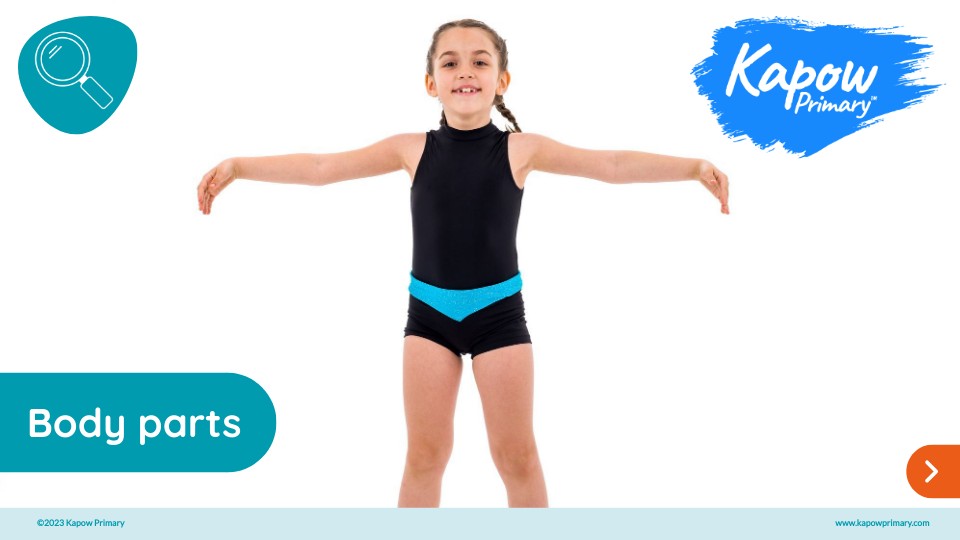 L1 - Body parts