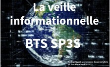 INITIATION VEILLE EN BTS SP3S | Genially