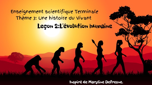 L'évolution humaine. Enseignement scientifique terminale | Genially