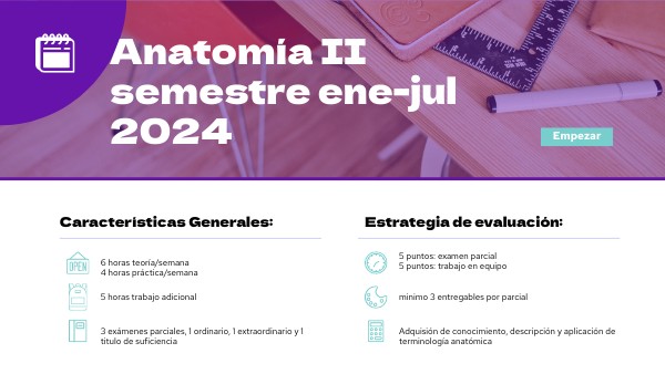 Anatomia II- semestre ene-jul 2024 | Genially