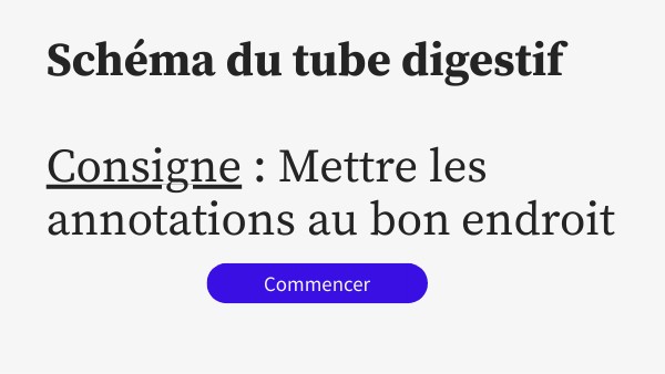 4e Schéma Tube digestif | Genially