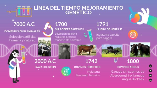 linea del tiempo mejoramiento genético | Genially