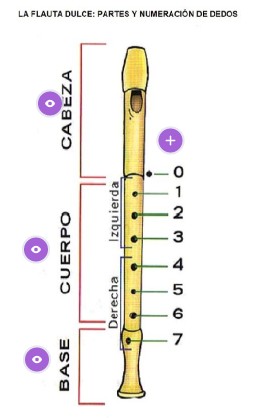 Imagen interactiva de la flauta dulce | Genially
