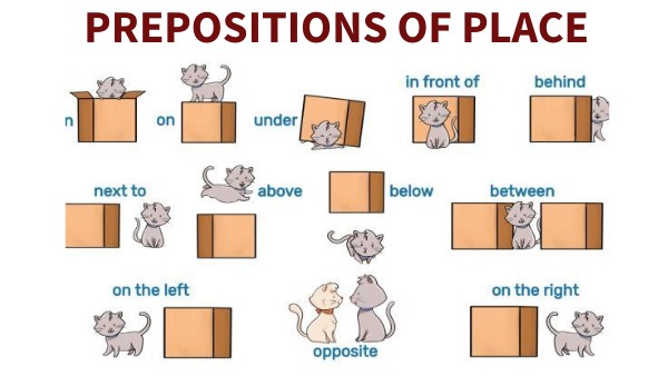 Prepositions of place | Genially