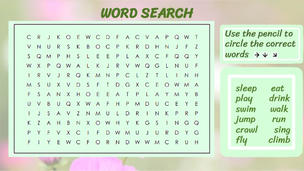 Word search: Animals activities | Genially