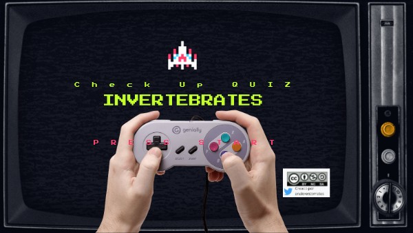 GAME INVERTEBRATES | Genially