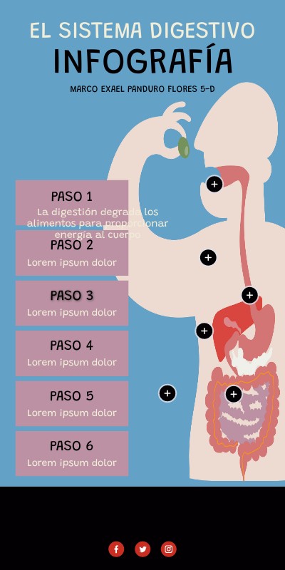 INFO VERTICAL DIGESTIVO