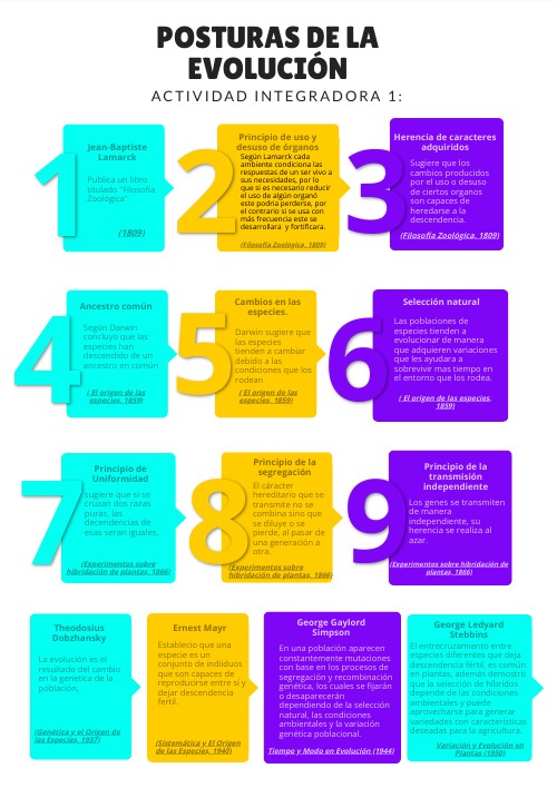 AI1: POSTURAS DE LA EVOLUCIÓN POR JUDITH ROMERO HERNÁNDEZ.