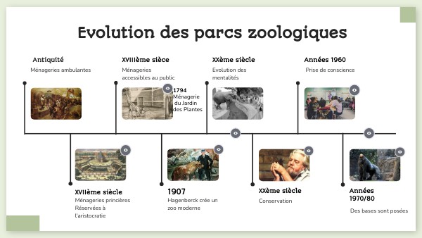 COLOR EDU TIMELINE | Genially