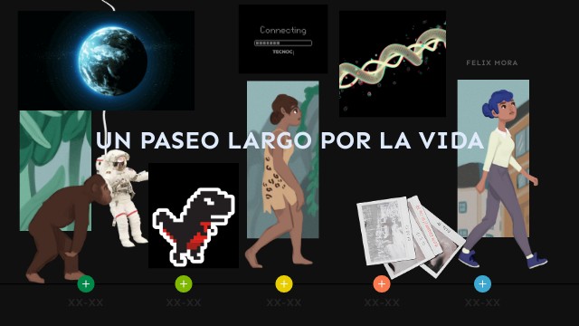 Etapas De Evolución Humana Genially