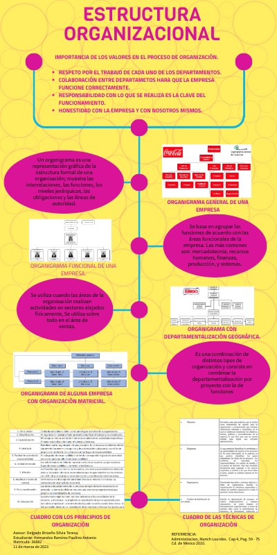 Estructura organizacional | Genially