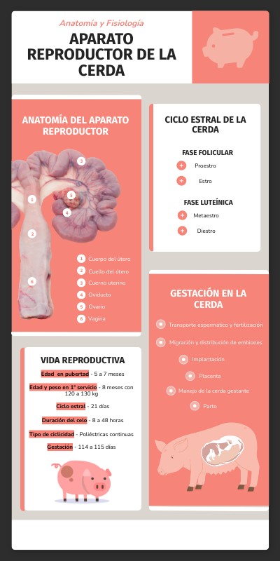 INFOGRAFÍA ACADÉMICA | Genially