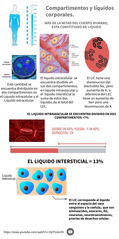 INFO LIQUIDOS CORPORALES | Genially