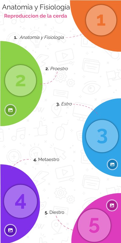 Actividad 4 | Genially