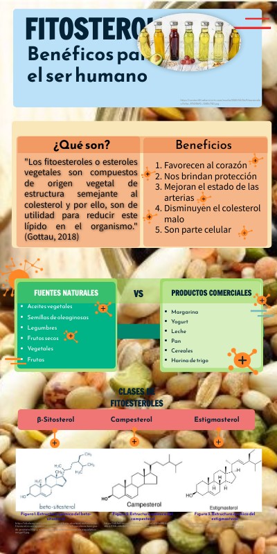 FITOESTEROLES | Genially