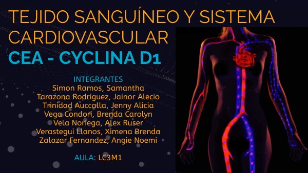 TEJIDO SANGUÍNEO Y SISTEMA CARDIOVAS | Genially